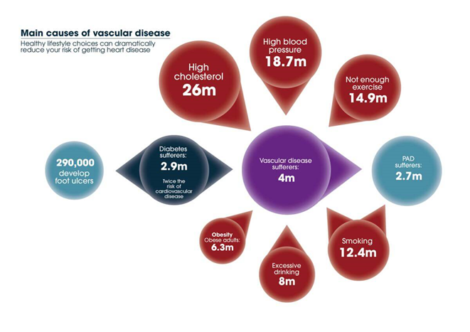 September is Vascular Disease Awareness Month – East Shore Partnership September is Vascular Disease Awareness Month – East Shore Partnership